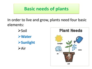 Physiological responses of crops to light and moisture | PPTX