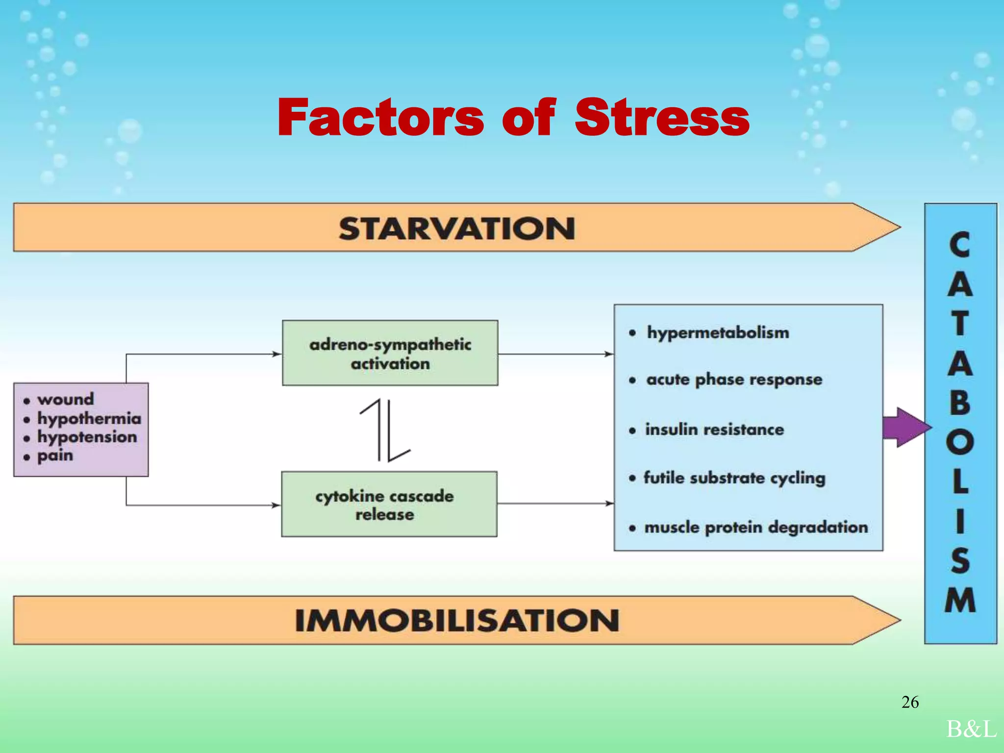 Physiological Responses to Surgery & Trauma | PPTX