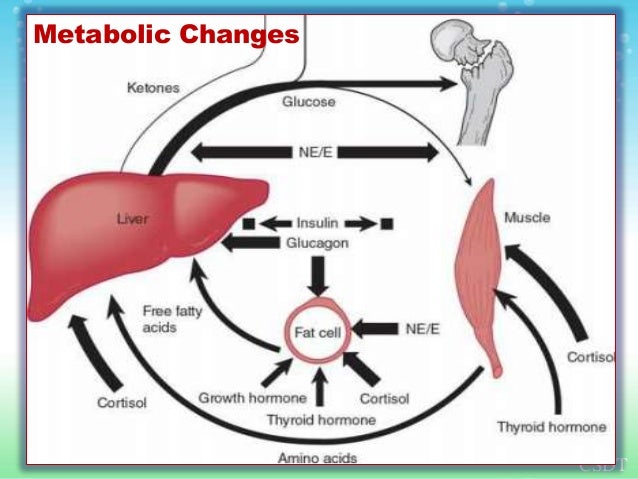 Physiological Responses to Surgery & Trauma