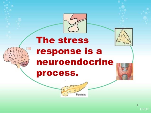 Physiological Responses to Surgery & Trauma