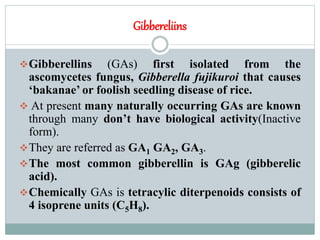 Physiological role of growth hormones ( auxins, gibberellins, cytokinins, abscisic acid, and ...