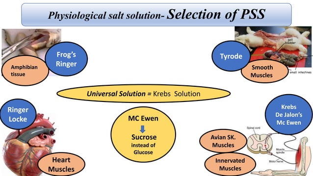 Physiological salt solutions in animal experiments 23 | PPTX ...
