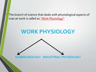 Physiological work issues | PPTX