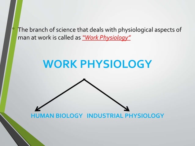 Physiological work issues | PPT
