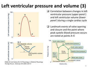 Physiologic and pathophysiologic function of the heart | PDF