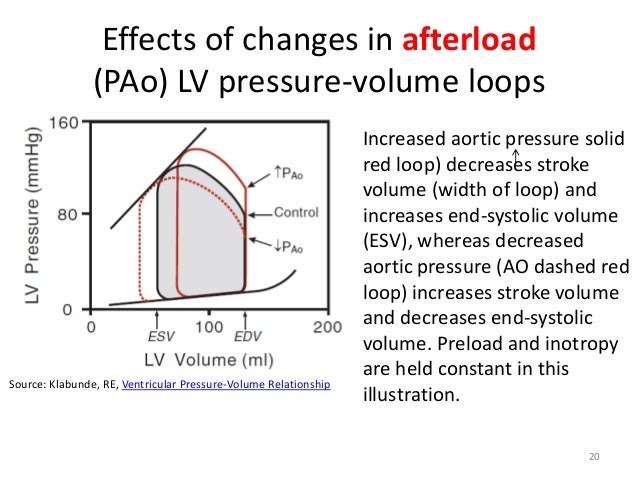 Physiologic and pathophysiologic function of the heart