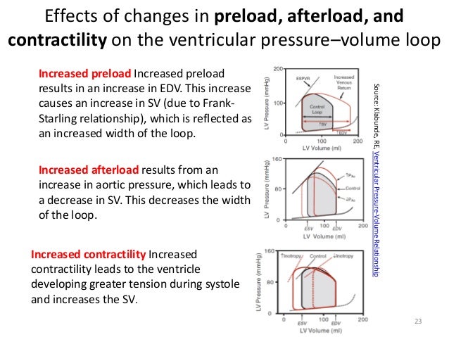 Physiologic And Pathophysiologic Function Of The Heart