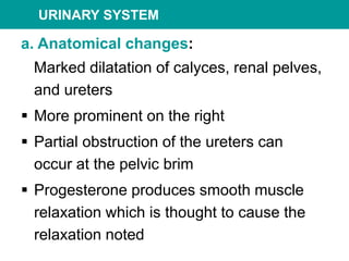 Physiologic changes of pregnancy | PPT