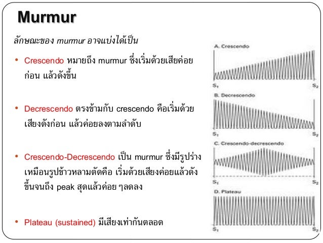 Physiologic murmur 3