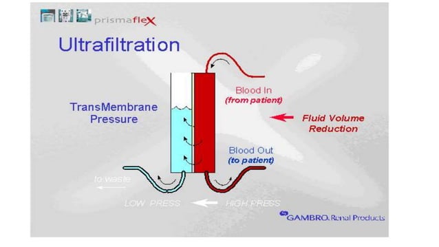 Physiologic Principles of dialysis.pptx