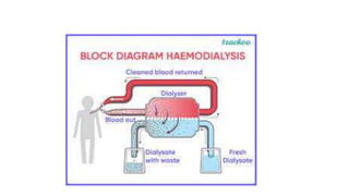 Physiologic Principles of dialysis.pptx