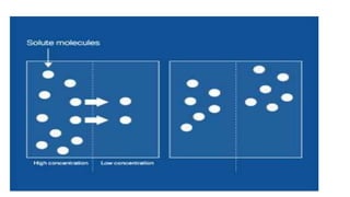Physiologic Principles of dialysis.pptx