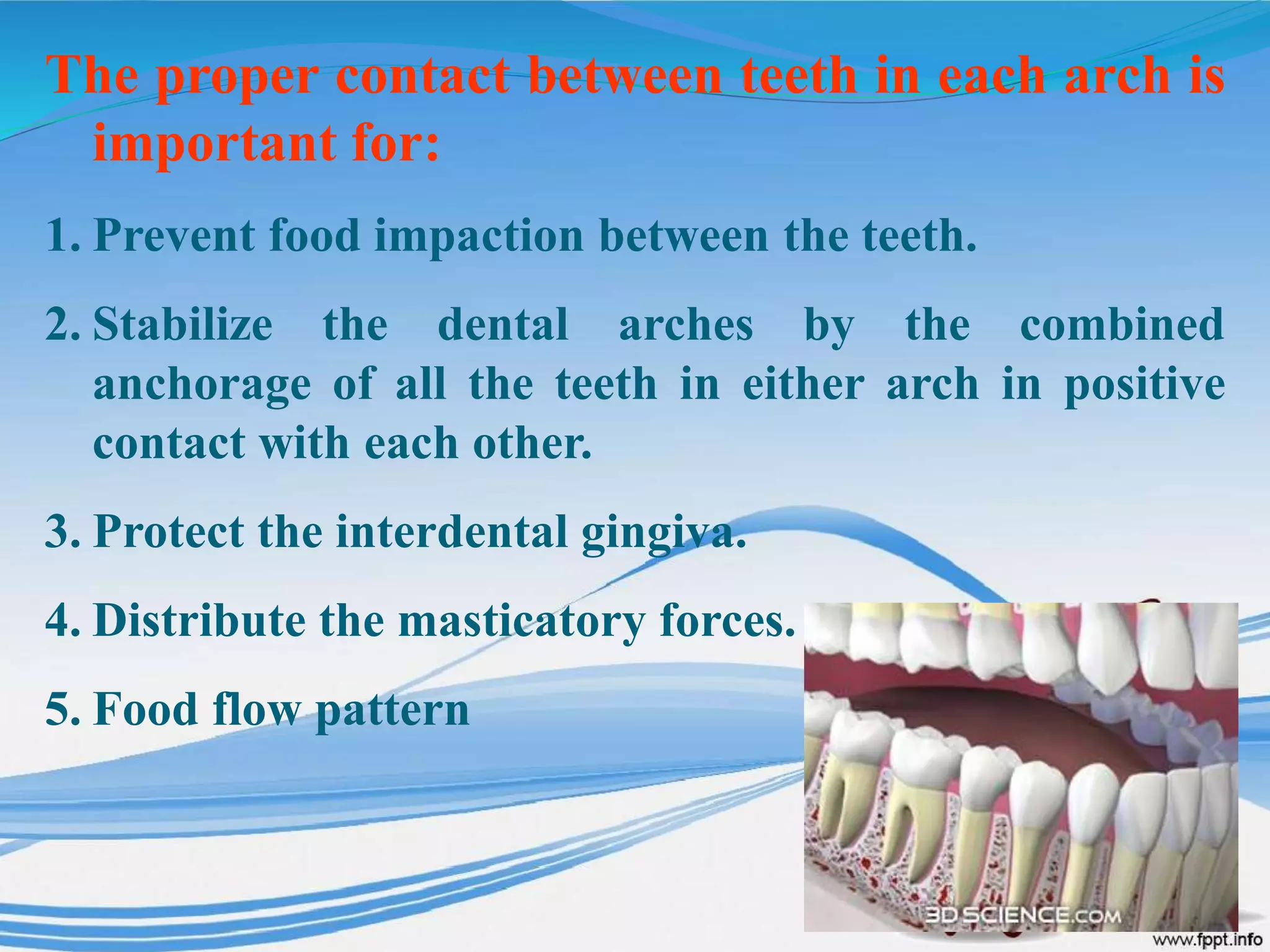 Physiologic tooth part 1 | PPTX
