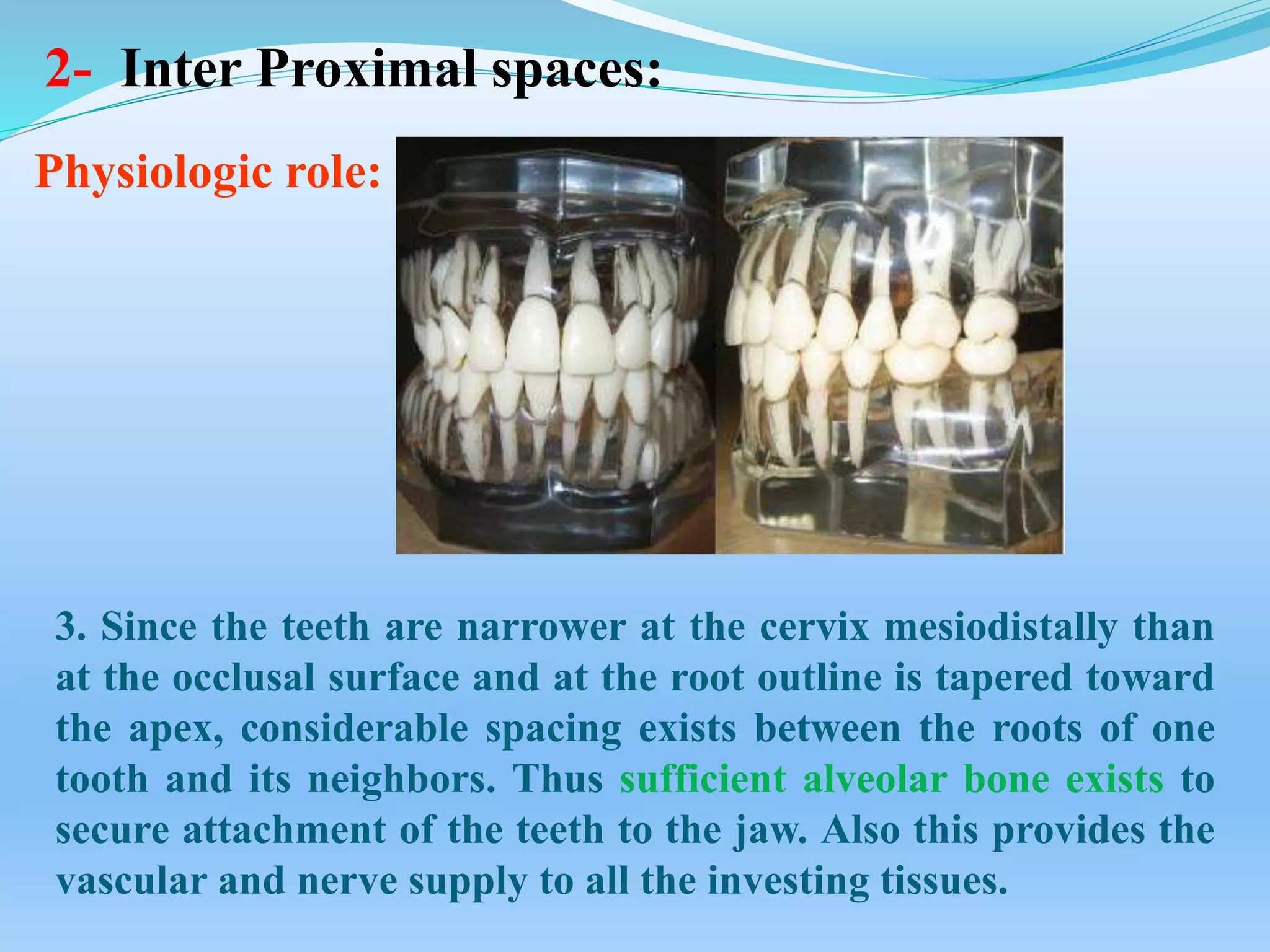 Physiologic tooth part 1 | PPTX