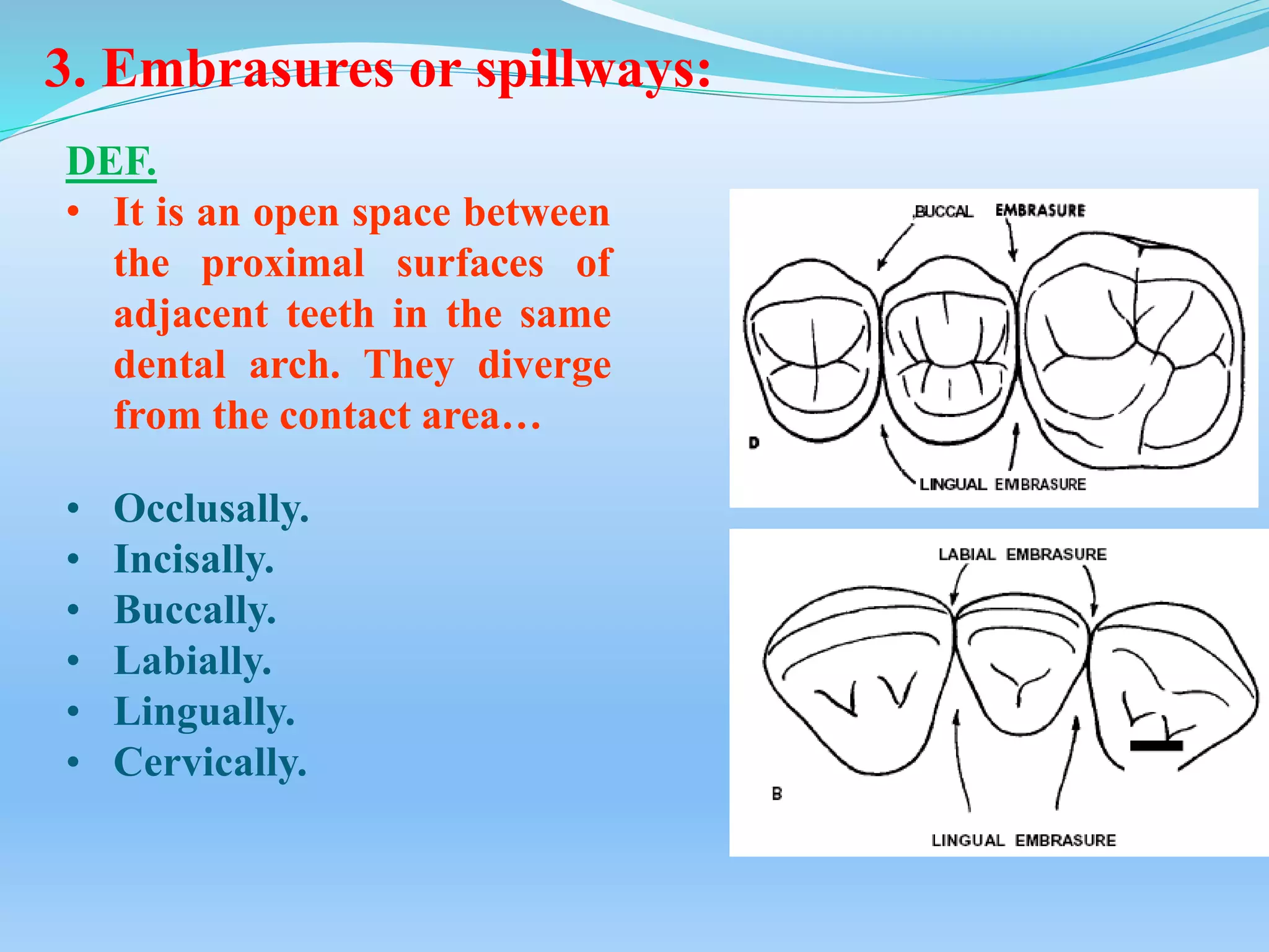 Physiologic tooth part 1 | PPTX
