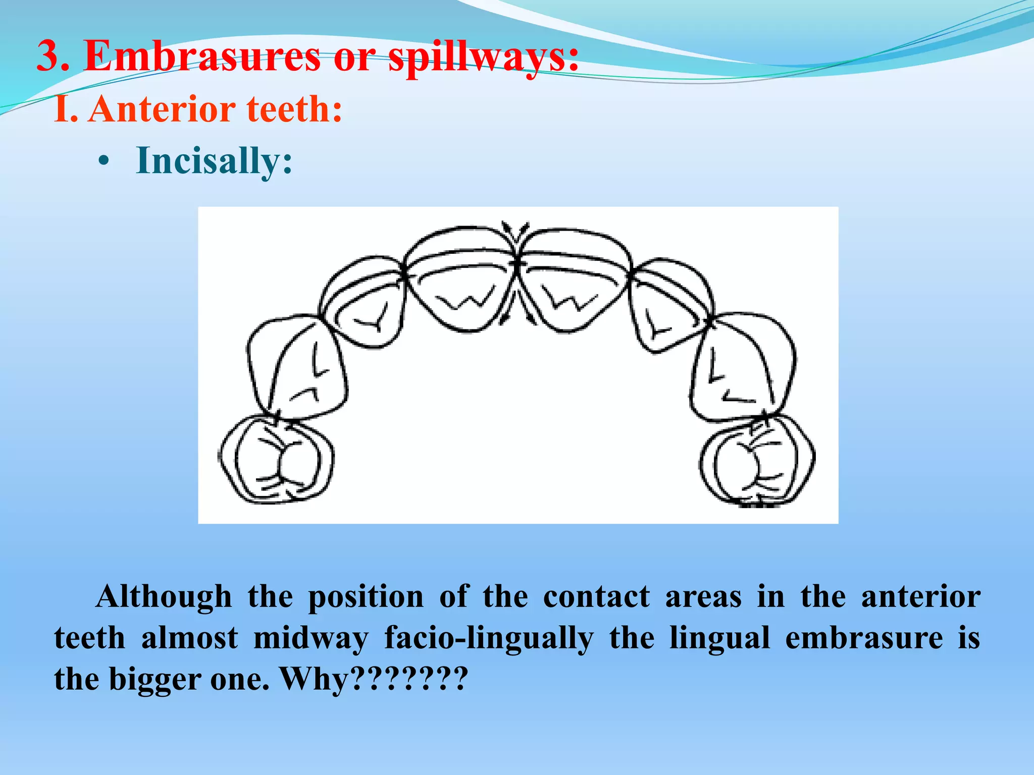 Physiologic tooth part 1 | PPTX
