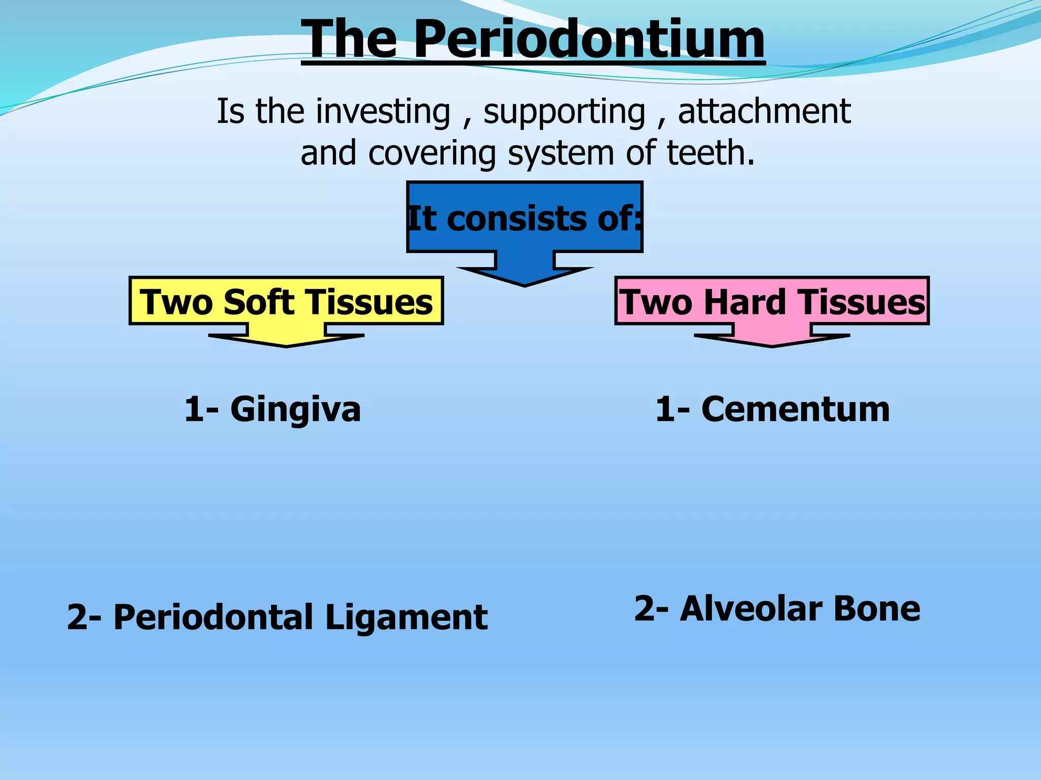 Physiologic tooth part 1 | PPTX
