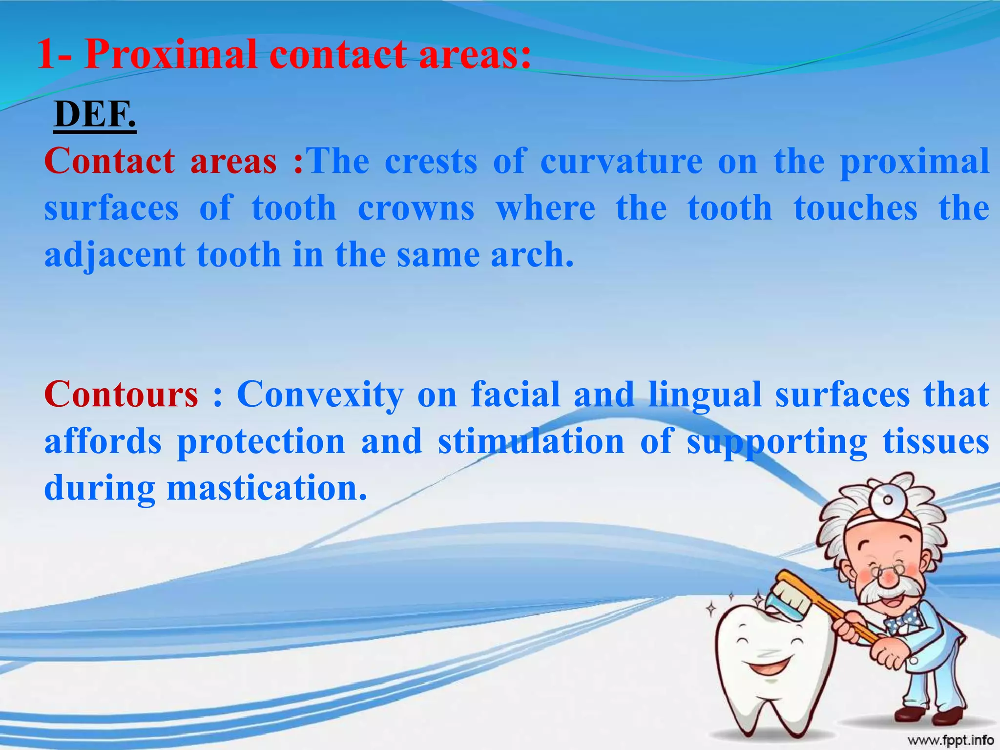 Physiologic tooth part 1 | PPTX