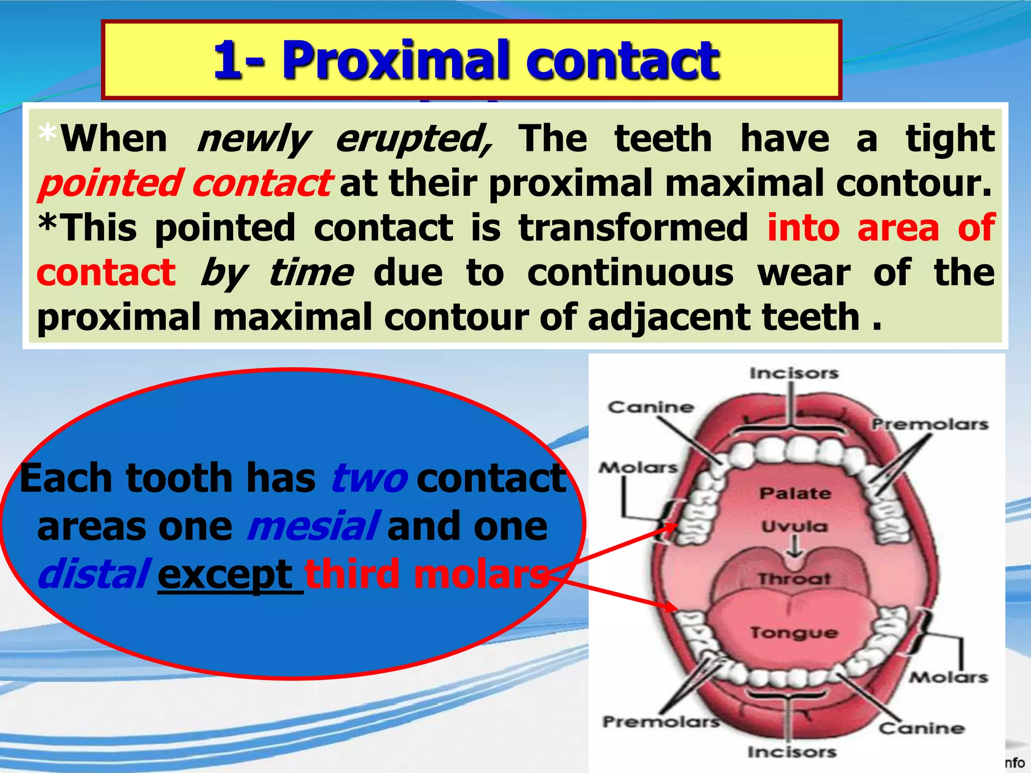 Physiologic tooth part 1 | PPTX