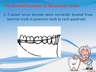 Physiologic tooth part 1 | PPTX