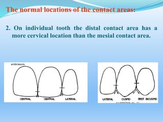 Physiologic tooth part 1 | PPTX