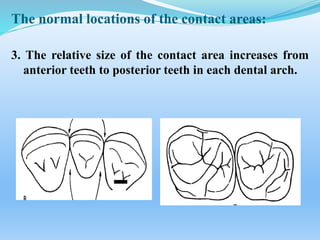 Physiologic tooth part 1 | PPTX