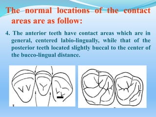 Physiologic tooth part 1 | PPTX