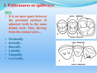 Physiologic tooth part 1 | PPTX