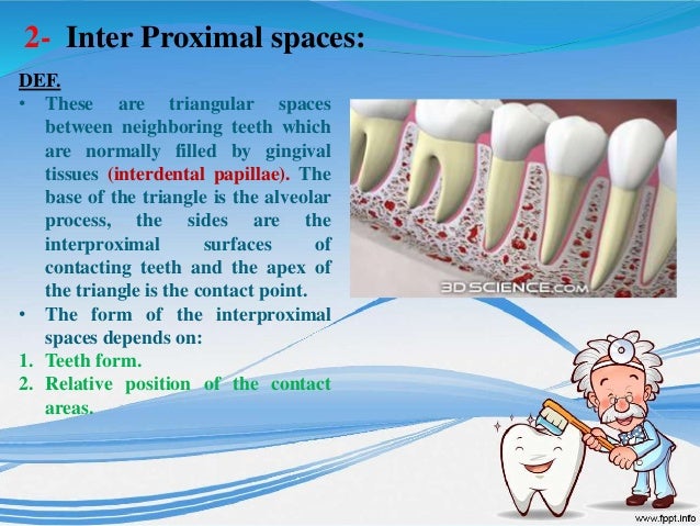 Physiologic tooth part 1