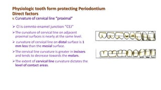 Physiologic tooth from I | PPT