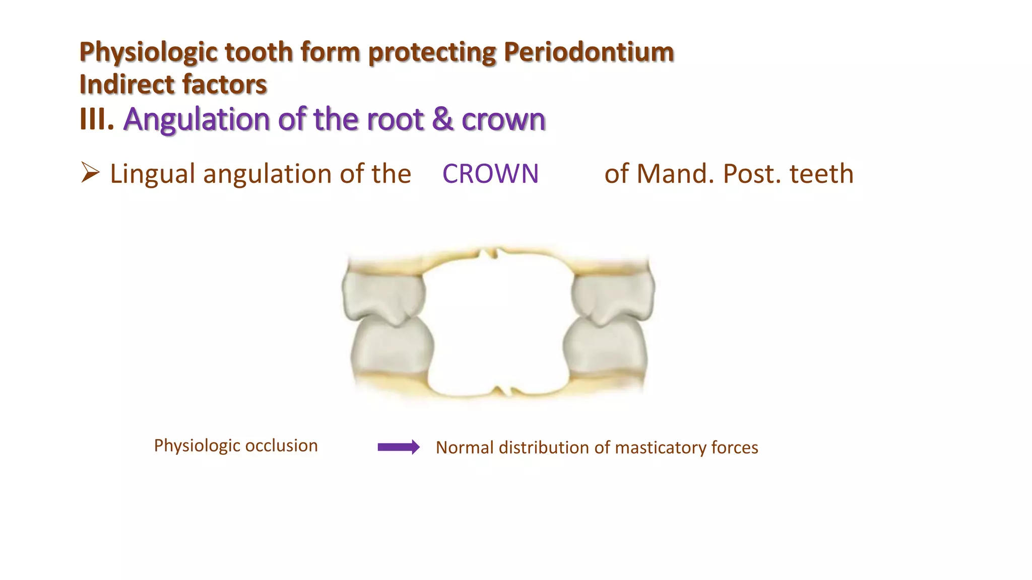 Physiologic tooth from ii | PPTX