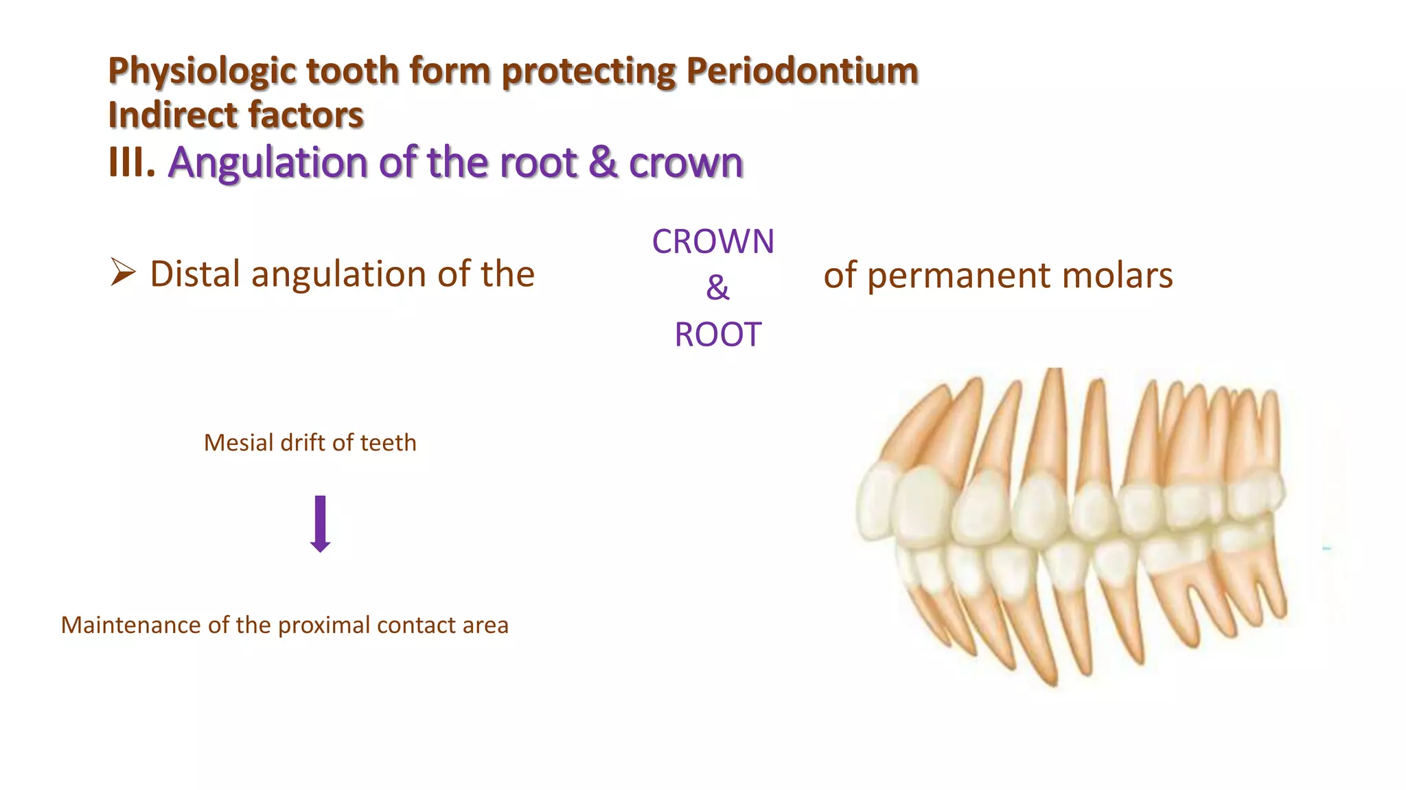 Physiologic tooth from ii | PPTX