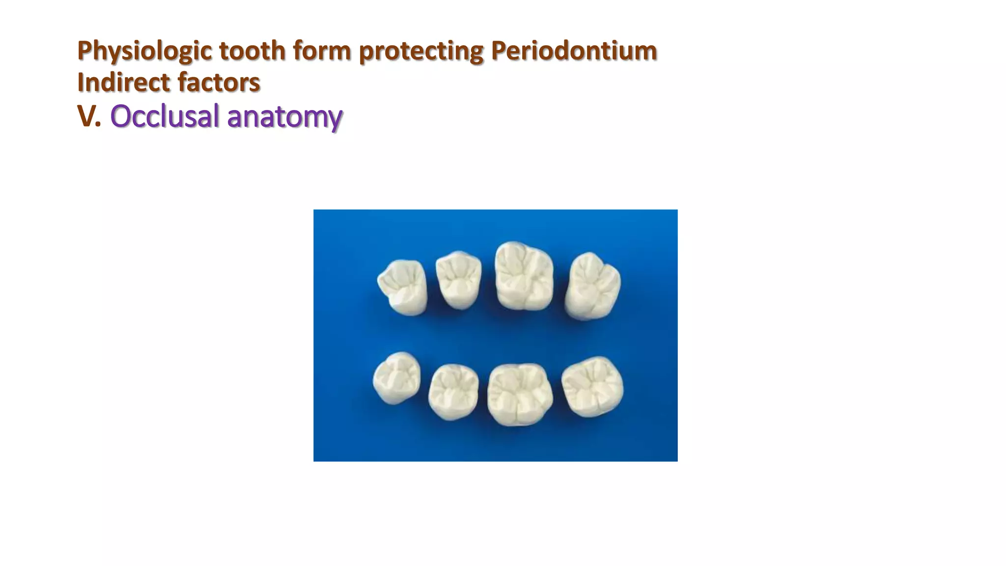 Physiologic tooth from ii | PPTX