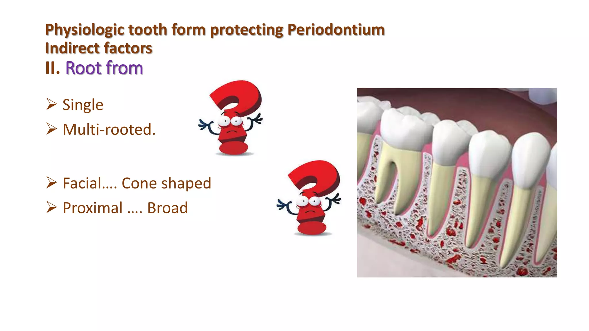 Physiologic tooth from ii | PPTX