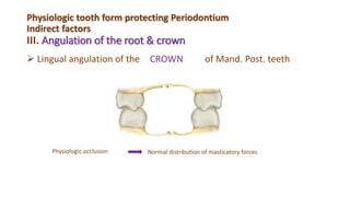 Physiologic tooth from ii | PPTX