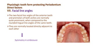 Physiologic tooth from ii | PPTX