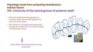 Physiologic tooth from ii | PPTX