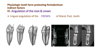 Physiologic tooth from ii | PPTX