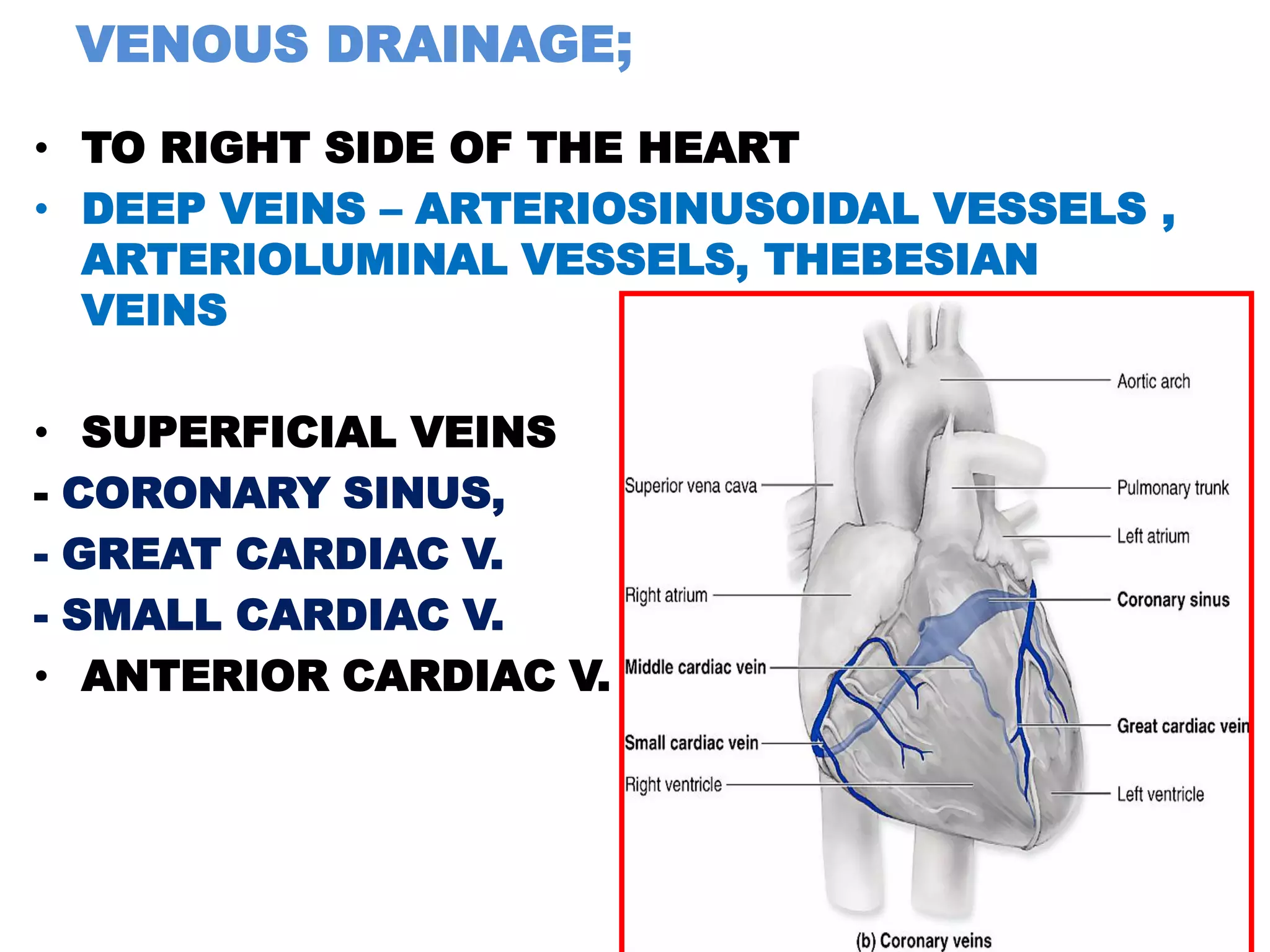 Physiology | PDF