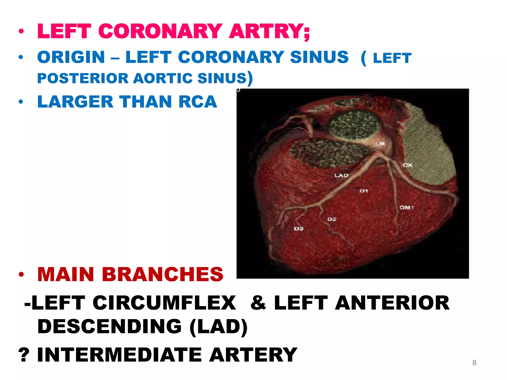Physiology | PDF