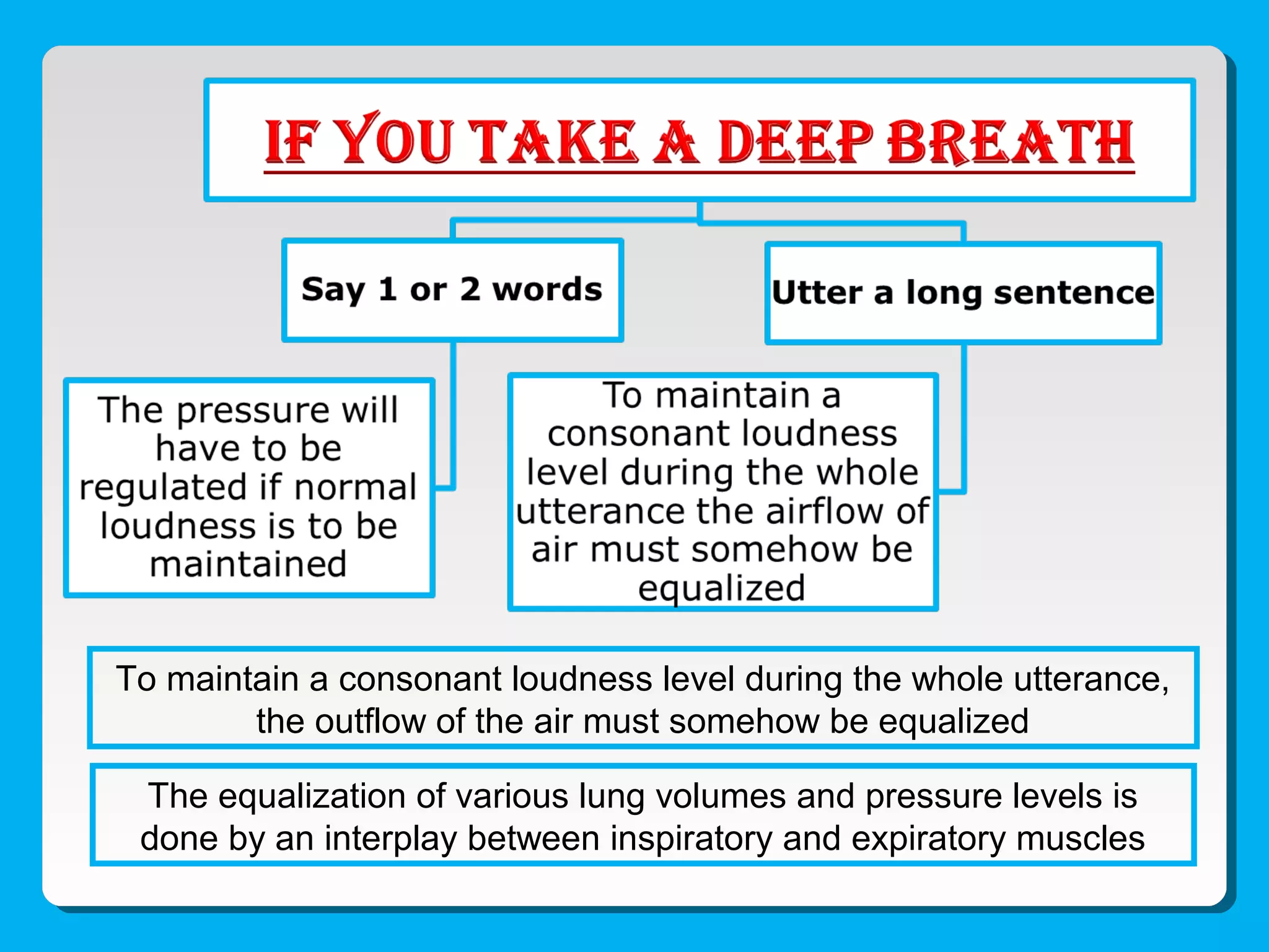 Respiratory & Phonatory Systems | PPT
