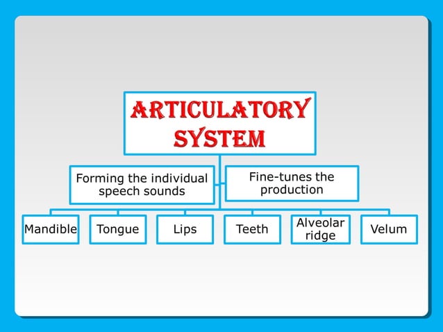 Respiratory & Phonatory Systems | PPT | Ear, Nose and Throat Conditions ...