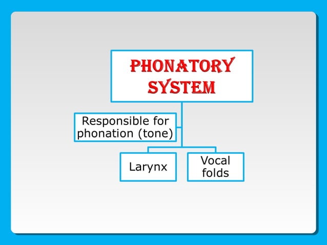 Respiratory & Phonatory Systems | PPT | Ear, Nose and Throat Conditions ...
