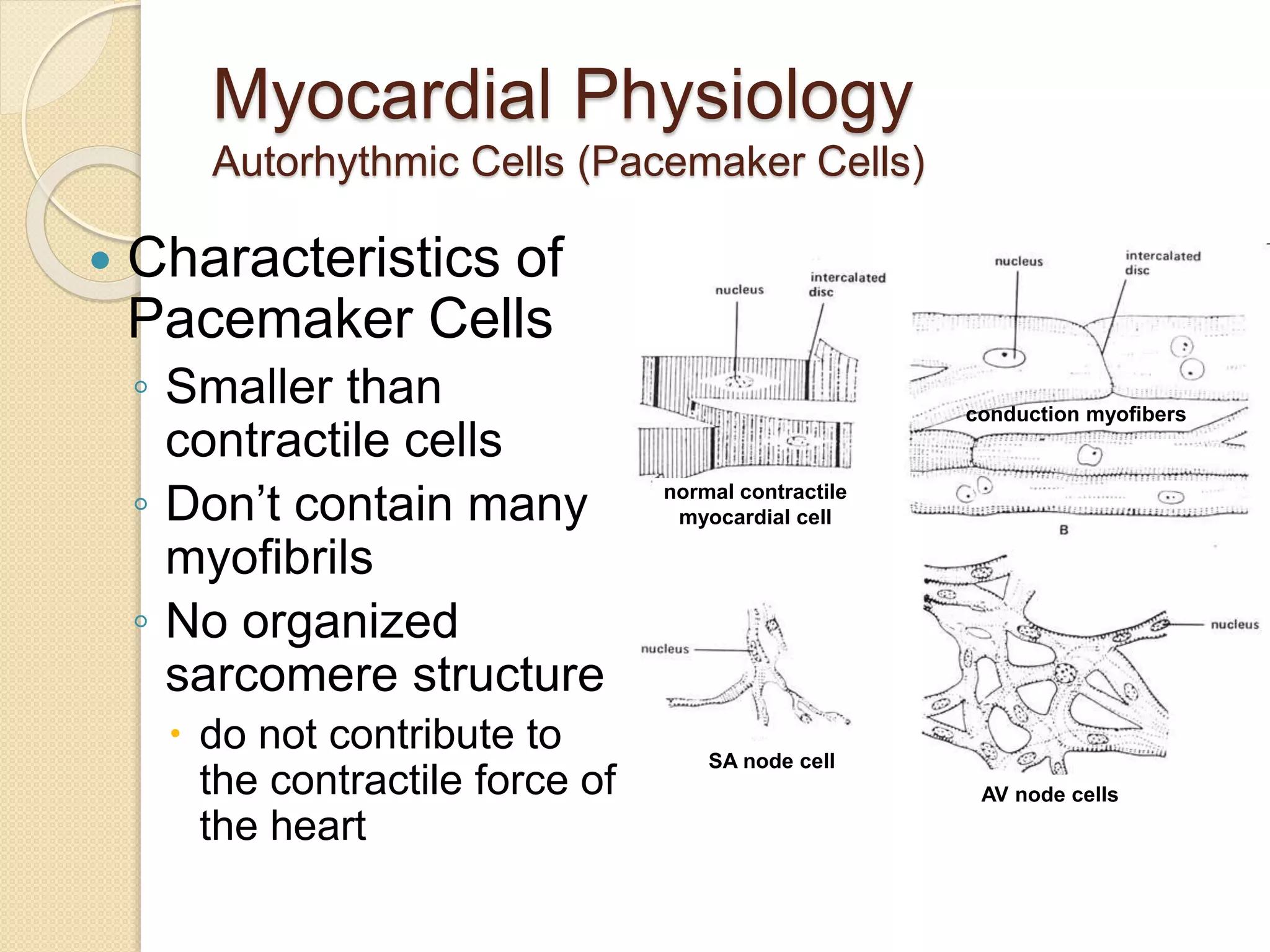 Physiology of heart | PPTX