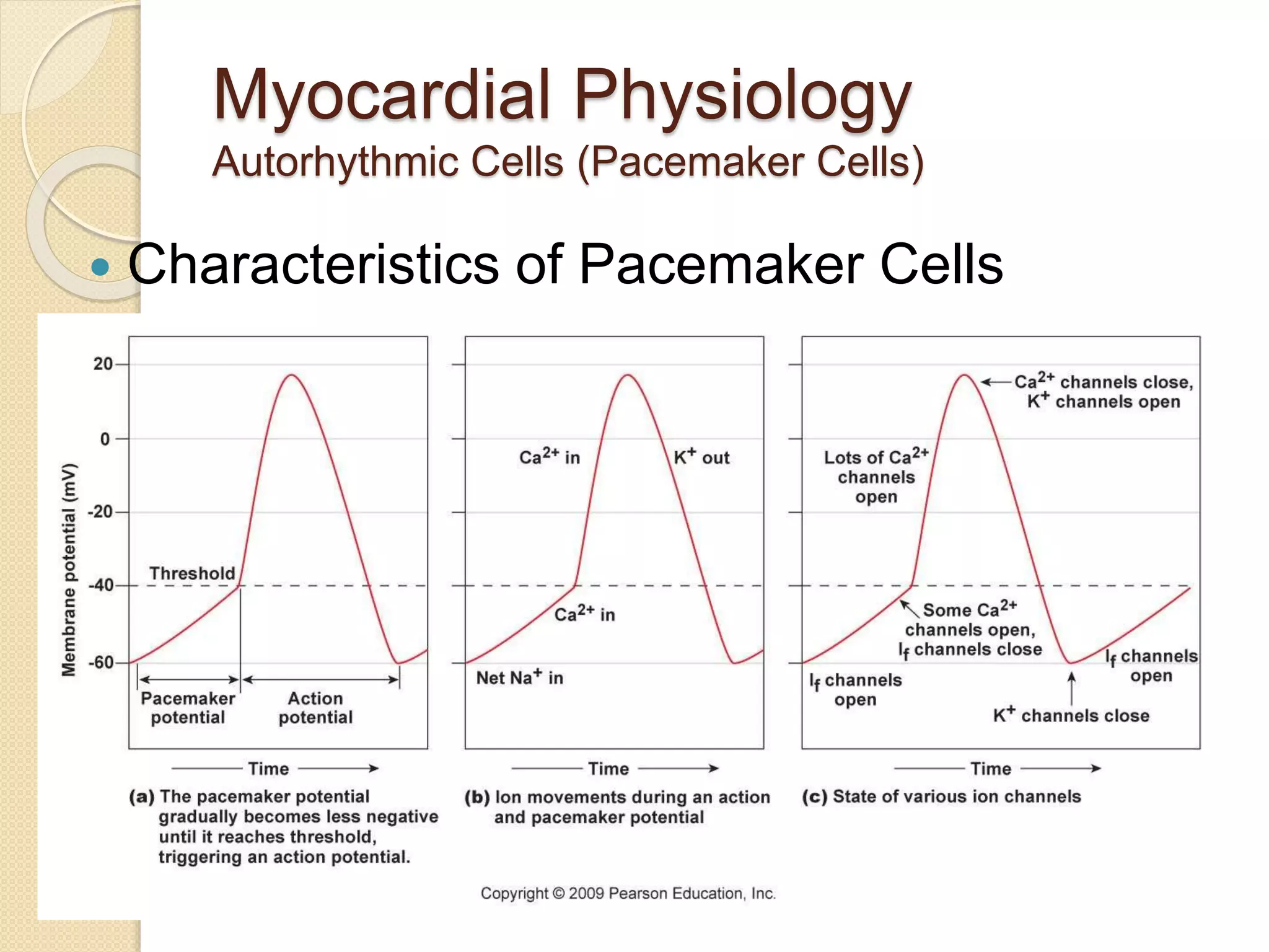 Physiology of heart | PPTX