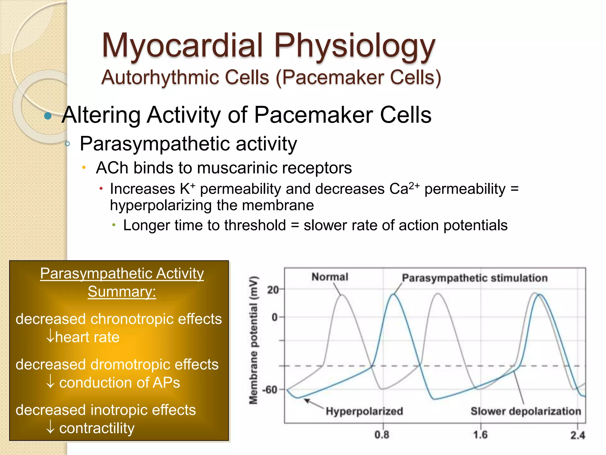 Physiology of heart | PPTX