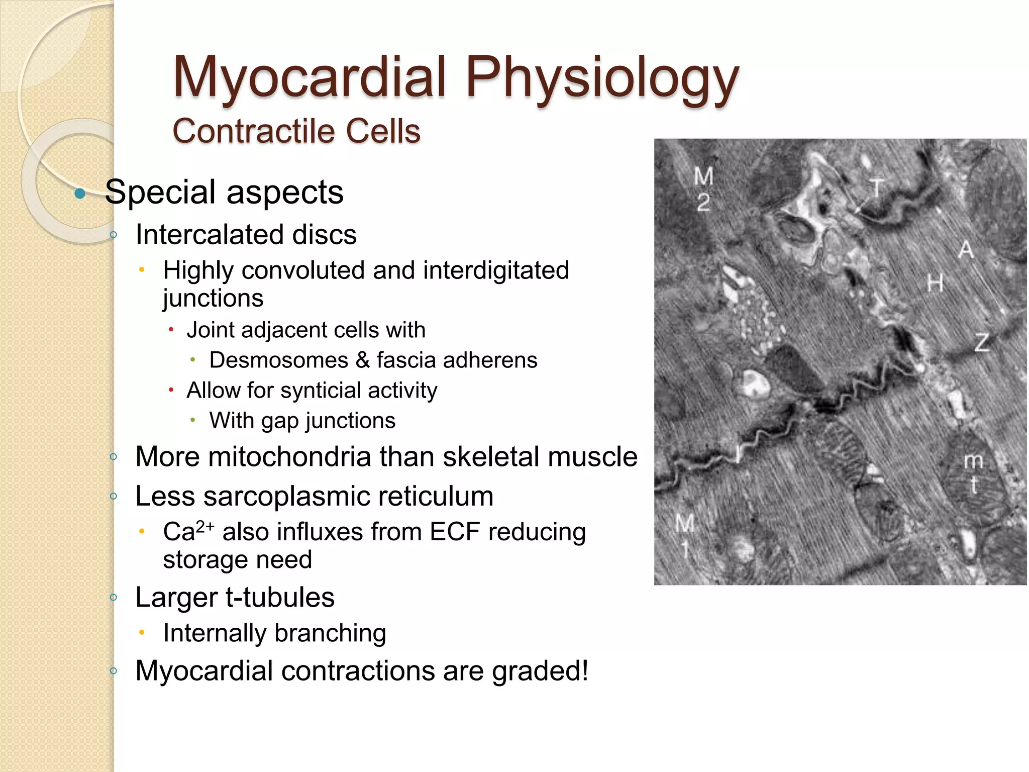 Physiology of heart | PPTX