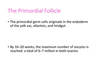 ovulation... | PPTX