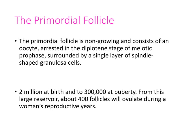 ovulation... | PPTX