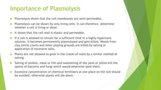 movement of substances | PPT